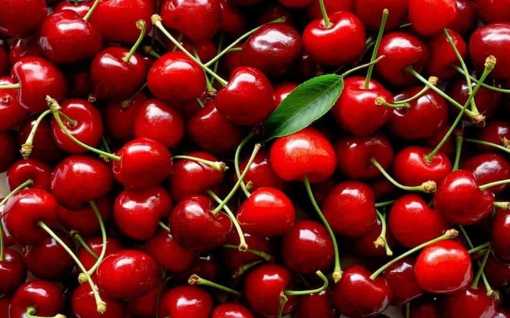 Khám phá nguồn gốc trái cherry và những vùng trồng trên thế giới ...